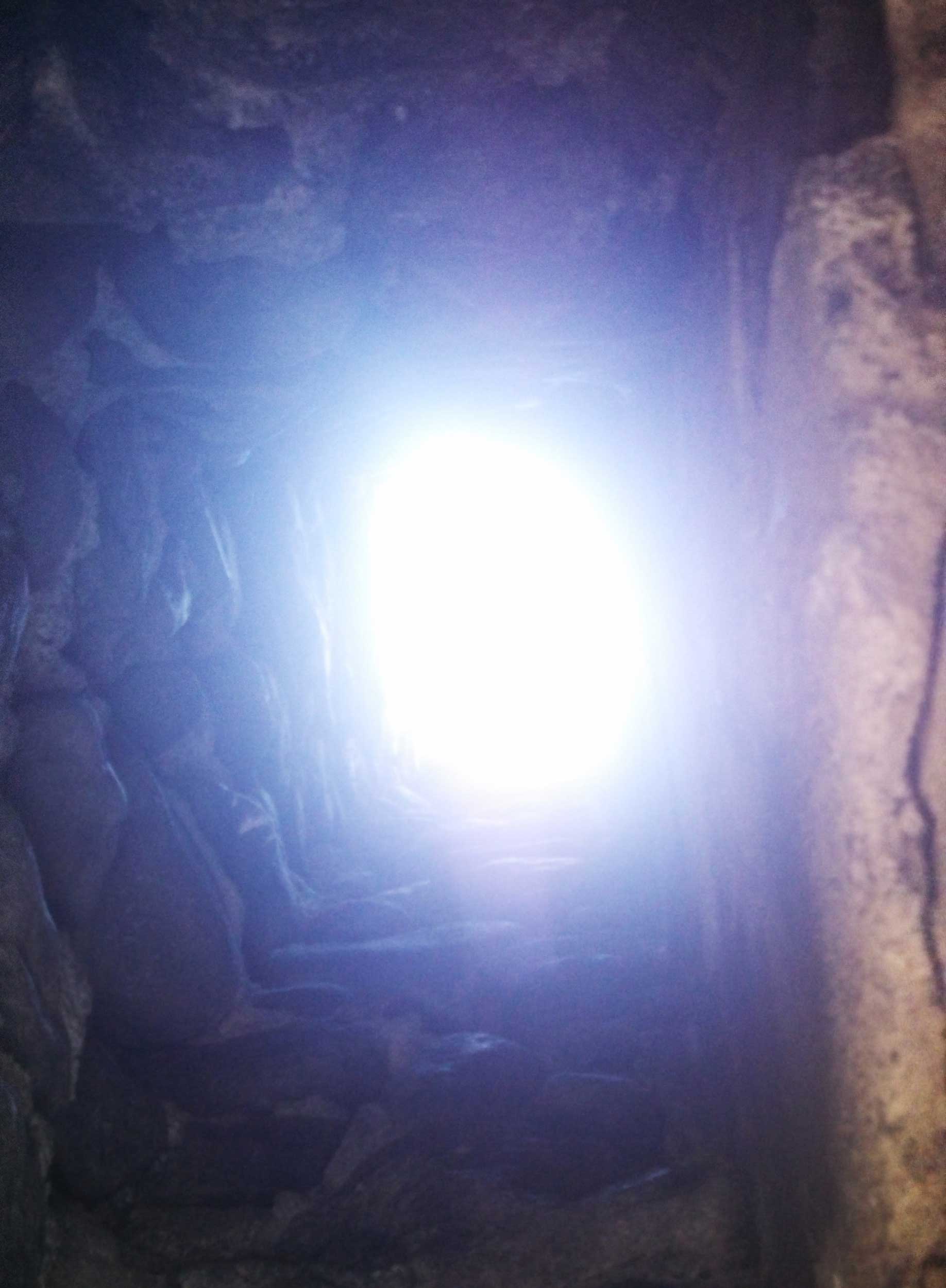 DIOPHARMA – Ruchama Noorda