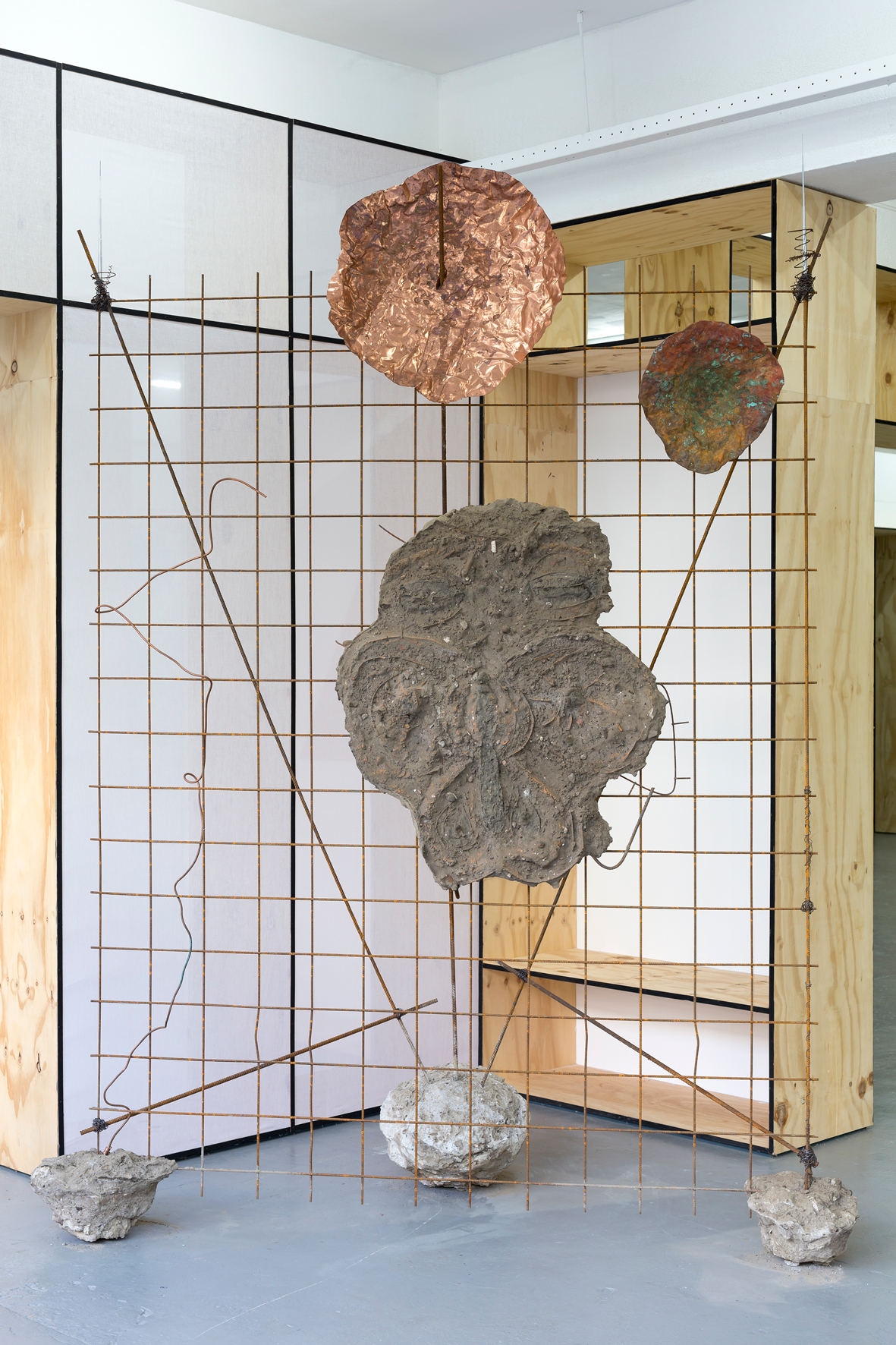 CIRCADIAN POWER PLANT – Ruchama Noorda