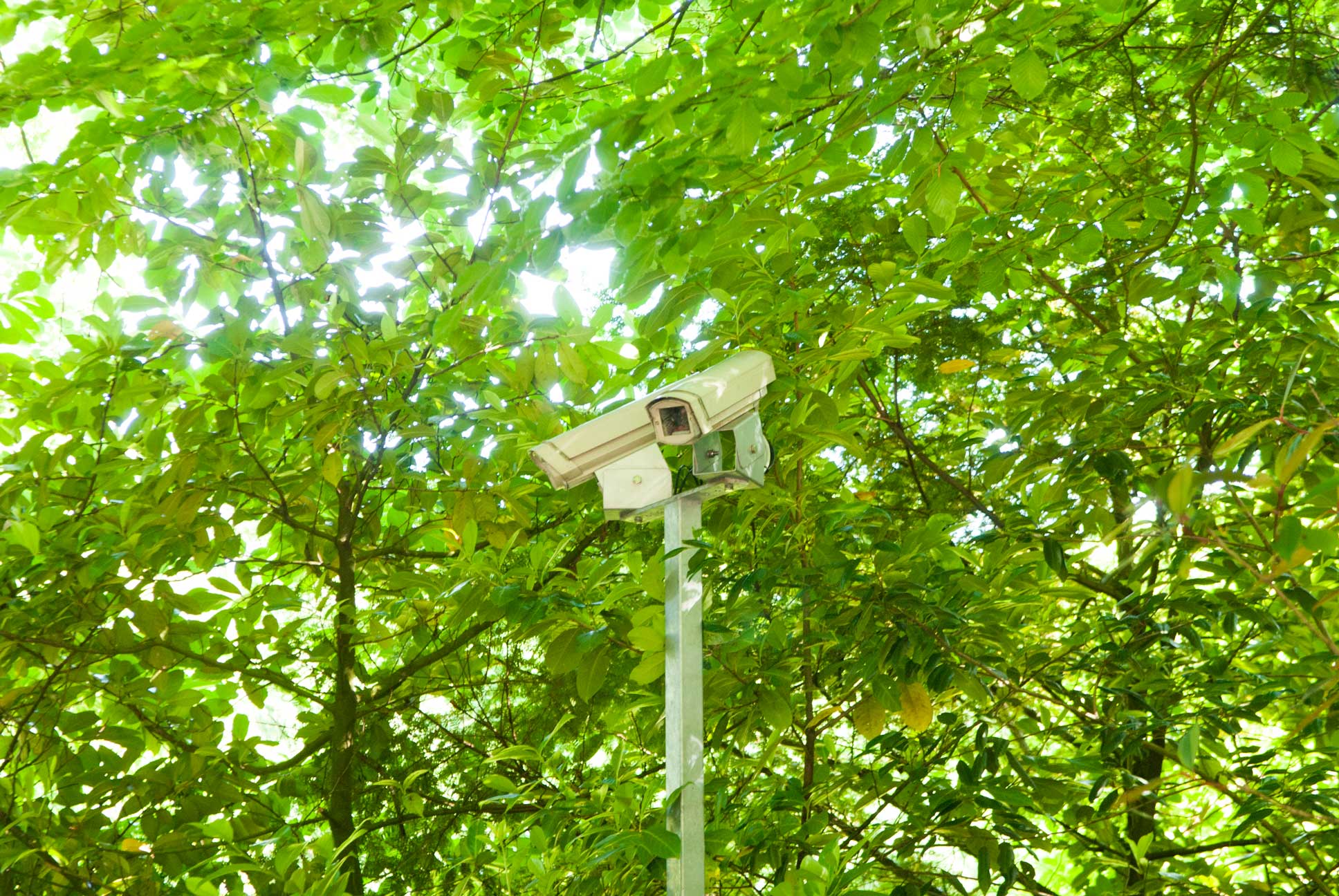 DIOPHARMA – Ruchama Noorda